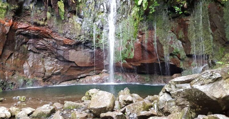 Madeira: Mountain Walk with Lagoon and Waterfalls - An In-Depth Look at the Tour