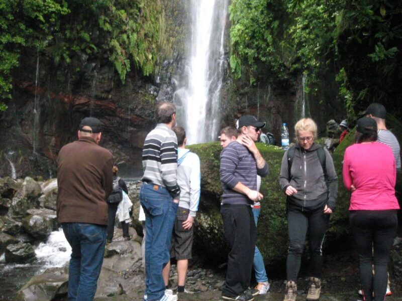 Madeira: Mountain Walk with Lagoon and Waterfalls - The Value and Practicalities