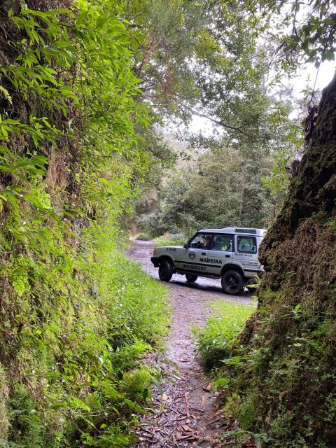 Madeira "Mystery Tour" Half-Day - Private 4x4 Jeep - What to Expect from the Madeira "Mystery Tour"