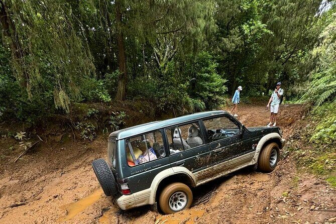 Madeira Off-Road 4x4 Jeep Adventure Private Full day Tour - What to Expect from the Madeira Off-Road 4x4 Jeep Tour