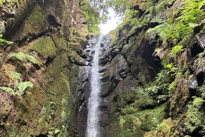 Madeira Off-Road 4x4 Jeep Adventure Private Full day Tour - The Sum Up: Who Is This Tour Perfect For?
