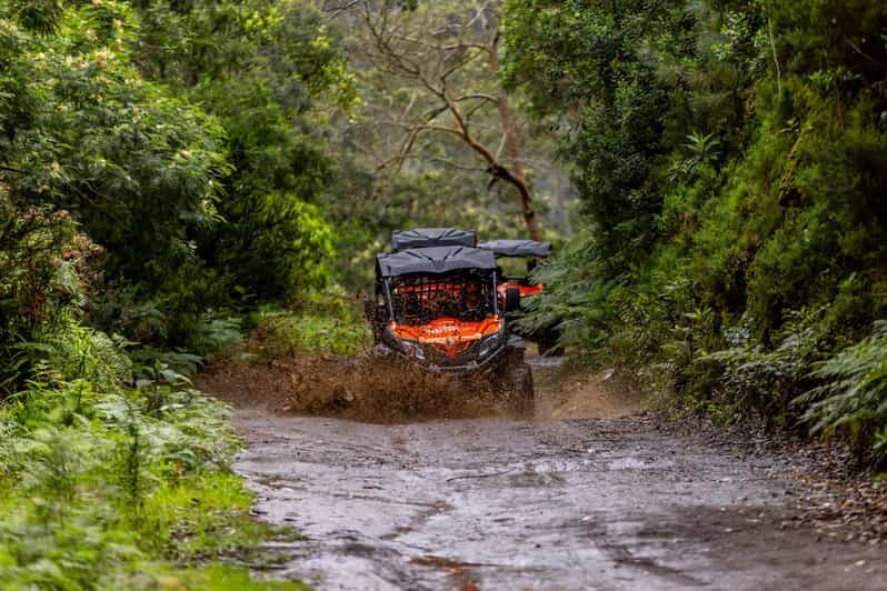 Madeira: Off-Road Buggy Adventure Through Laurissilva Forest - FAQs