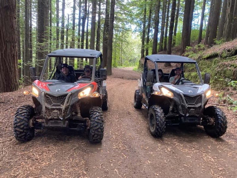 Madeira: Off-Road Buggy Driving Experience - Exploring Madeira’s Hidden Trails on a Double Buggy