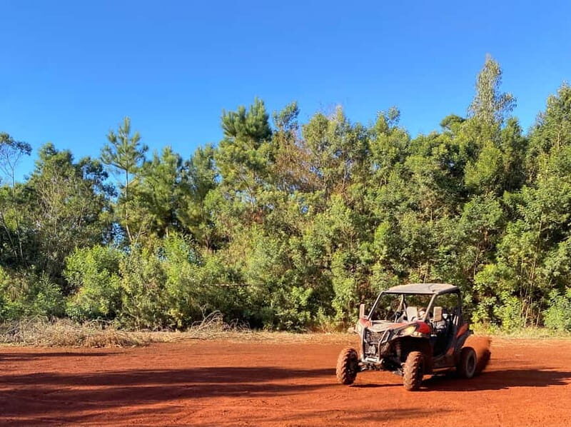 Madeira: Off-Road Buggy Driving Experience - Why It Offers Great Value