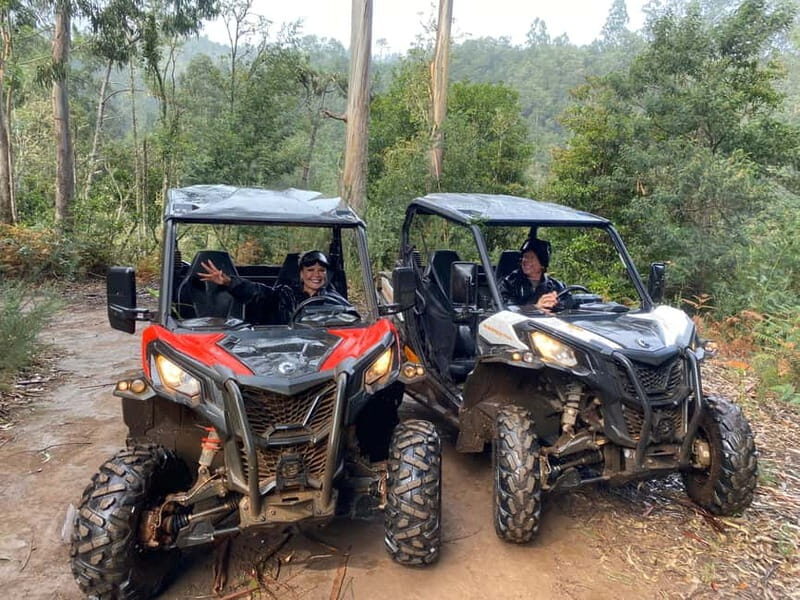Madeira: Off-Road Buggy Driving Experience - The Sum Up