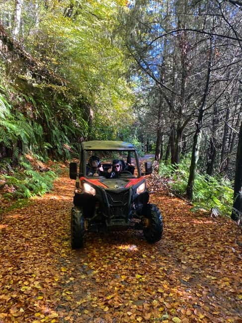 Madeira: Off-Road Buggy Driving Experience - FAQ