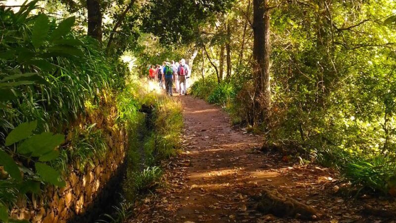 Madeira: Paradise Valley Levada Walk - An In-Depth Look at the Madeira: Paradise Valley Levada Walk