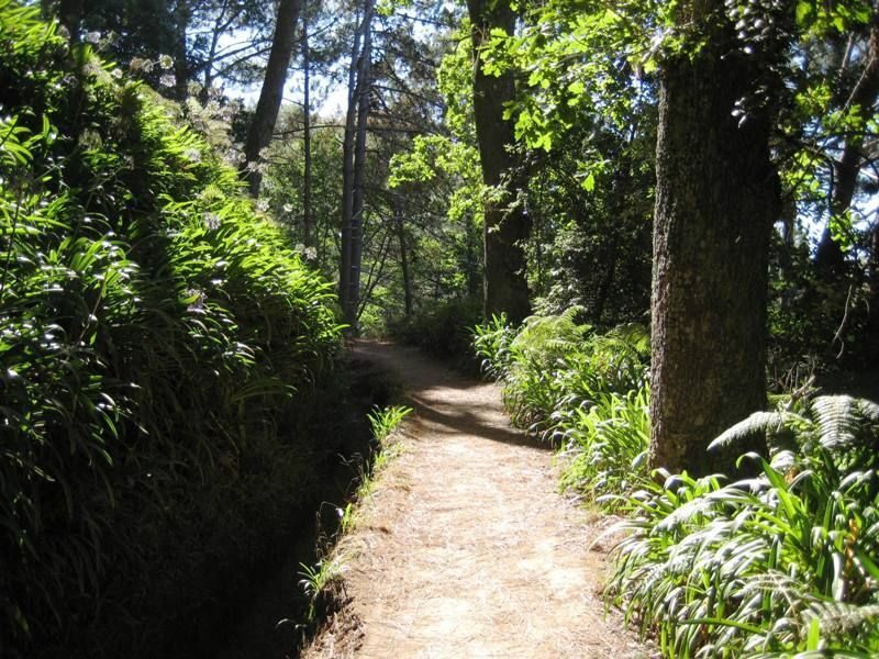 Madeira: Paradise Valley Levada Walk - Who is this tour for?