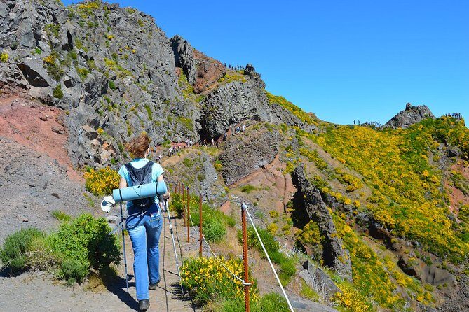Madeira Peaks - Mountain Walk - Who Should Consider This Tour?
