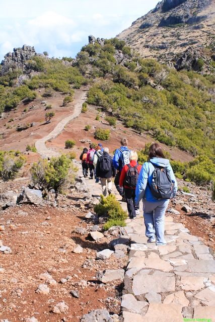 Madeira: Pico Arieiro to Pico Ruivo Hike - Who Should Consider This Tour?
