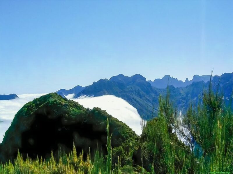 Madeira: Pico Arieiro to Pico Ruivo Hike - FAQs