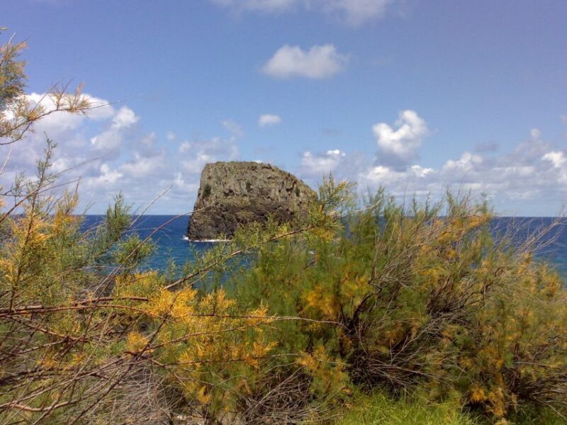 Madeira: Pico do Arieiro & Laurissilva Forest - East tour - FAQ
