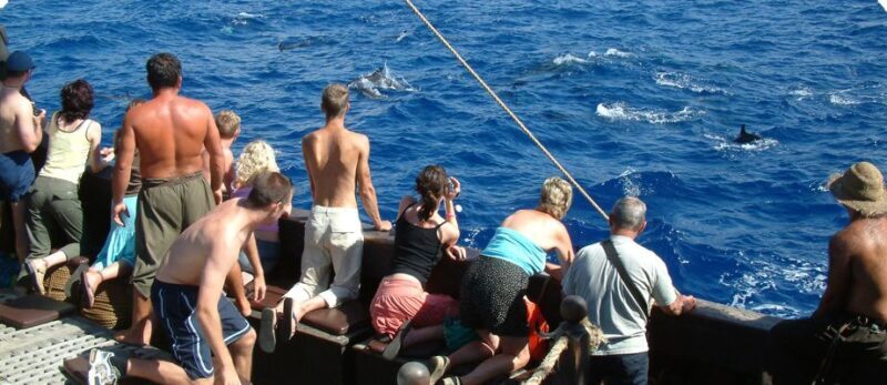 Madeira Pirate Ship: 3-Hour Boat Trip - The Sum Up