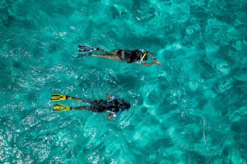 Madeira: Ponta de São Lourenço Snorkeling Boat Trip - The Sum Up