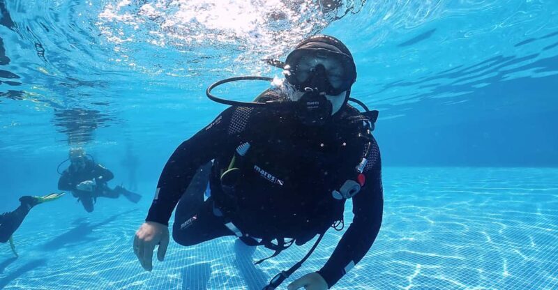 Madeira, Ponta São Lourenço: Scuba Diving for Beginners - Final Thoughts: Who Should Try This?