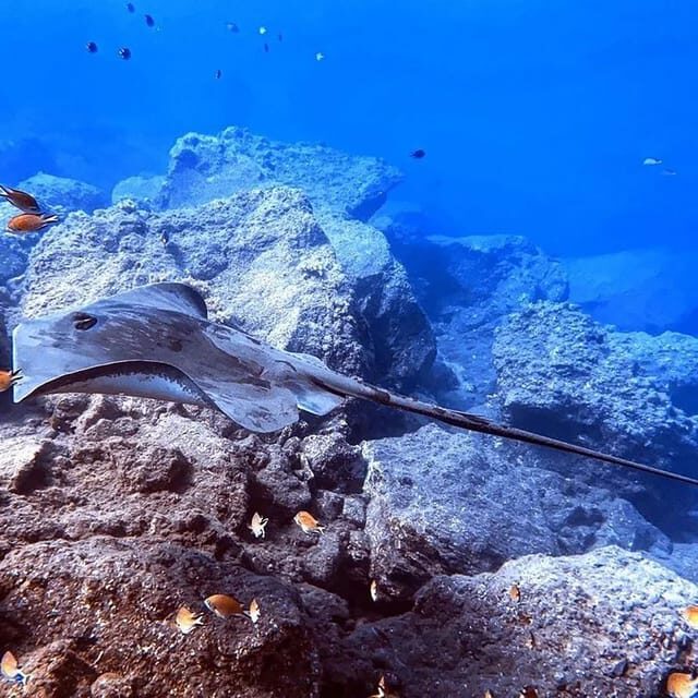 Madeira, Ponta São Lourenço: Scuba Diving for Beginners - FAQs