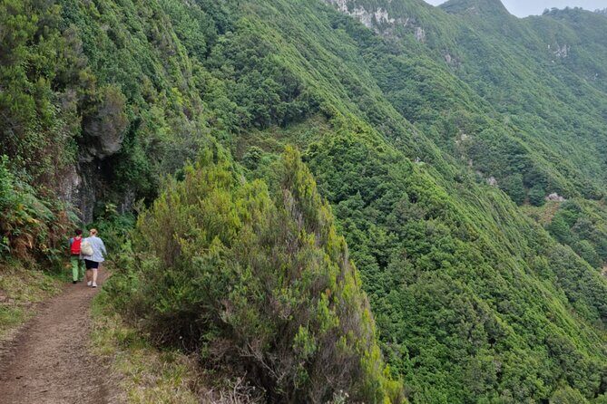 Madeira Porto da Cruz to Machico Self Hiking Tour with Transfer - Who Is This Tour Best For?