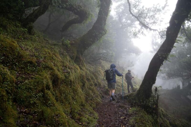 Madeira: PR 9 - Levada do Caldeirão Verde Hike Transfer - Key Points