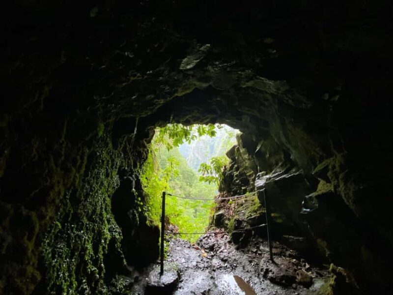 Madeira: PR 9 - Levada do Caldeirão Verde Hike Transfer - A Complete Look at the PR 9 - Levada do Caldeirão Verde Experience