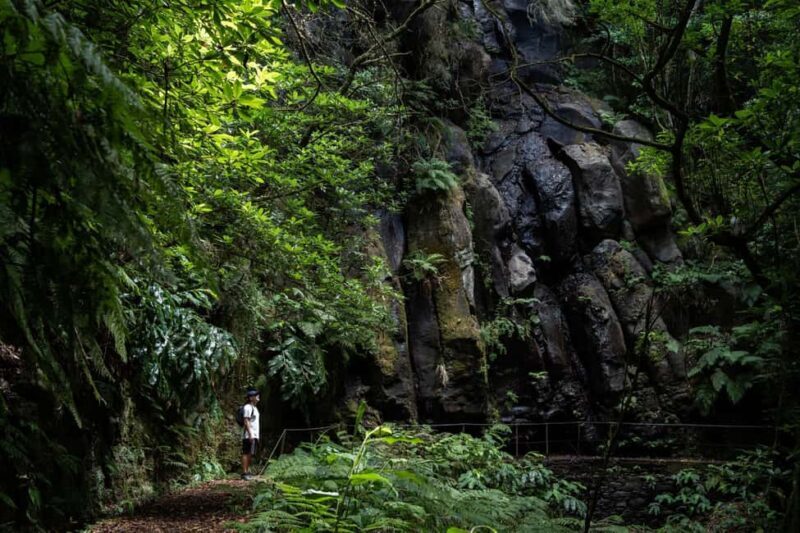 Madeira: PR 9 - Levada do Caldeirão Verde Hike Transfer - The Sum Up: Why Choose This Tour?