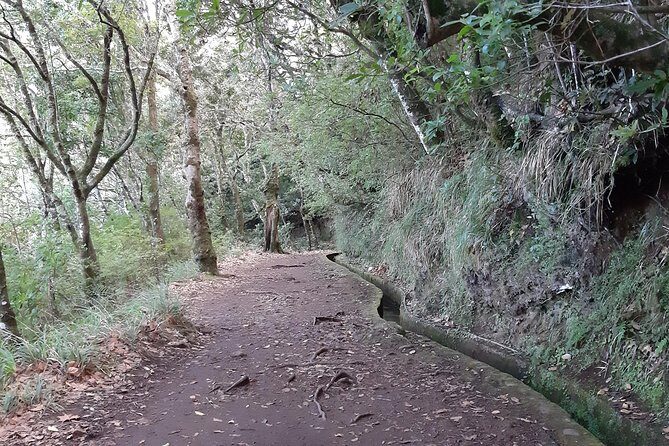 Madeira: Private 1.5-Kilometer Levada dos Balcões Hike PR11 - Key Points