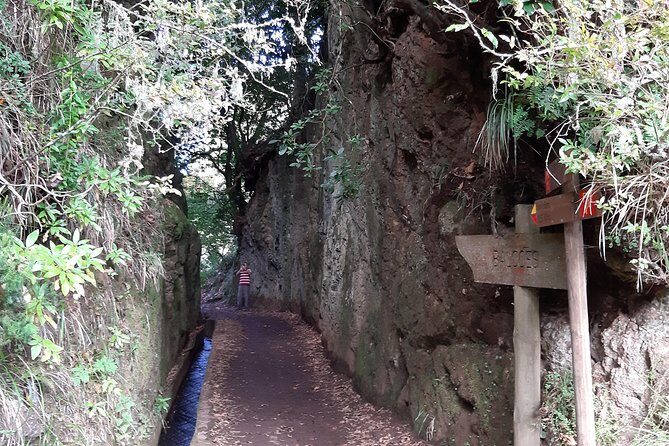 Madeira: Private 1.5-Kilometer Levada dos Balcões Hike PR11 - Value and Pricing: Is It Worth It?