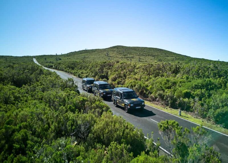 Madeira: PRIVATE 4x4 Jeep Tour - Madeira: PRIVATE 4x4 Jeep Tour — A Truly Customizable Island Adventure