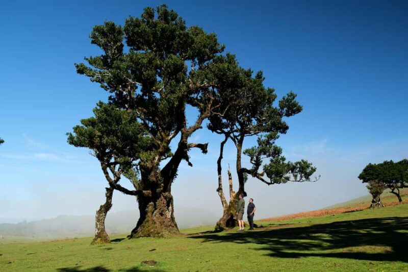 Madeira: PRIVATE 4x4 Jeep Tour - The Itinerary: What to Expect on Your Day