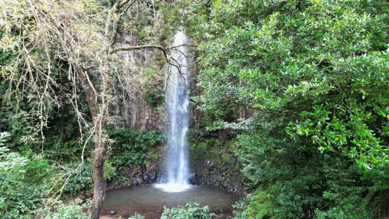 Madeira: PRIVATE 4x4 Jeep Tour - What to Prepare & Consider