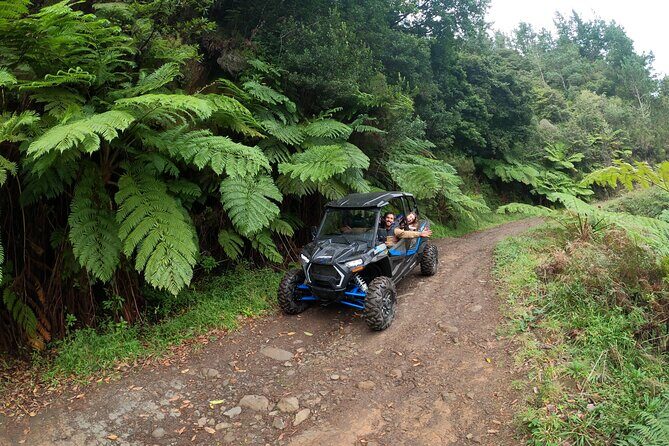 Madeira Private Buggy Adventure: Forest and Mountains - An In-Depth Look at the Madeira Buggy Adventure