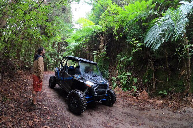 Madeira Private Buggy Adventure: Forest and Mountains - Who Should Book This Tour?