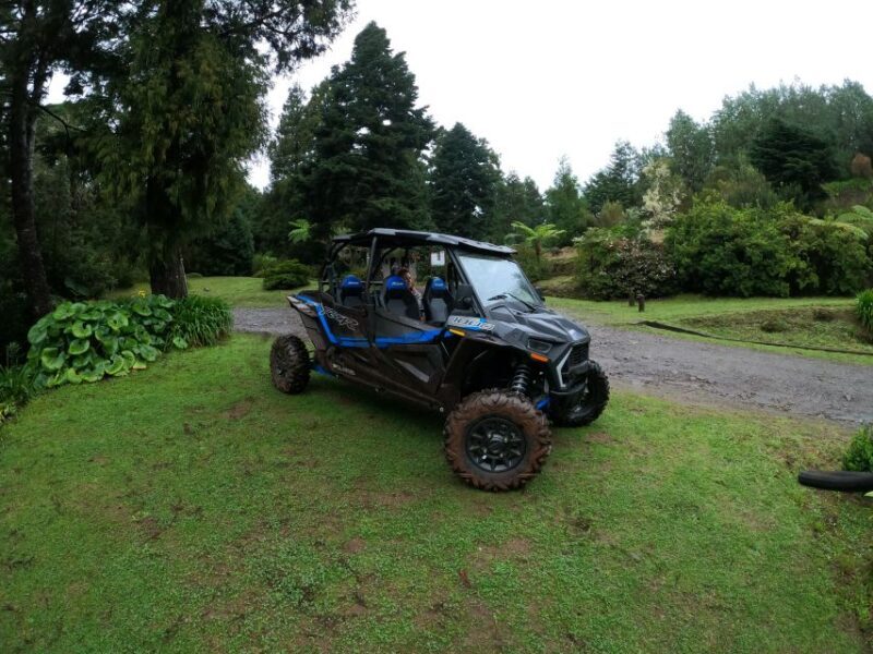 Madeira Private Buggy Adventure: Mountains and Forests - An In-Depth Look at the Madeira Buggy Tour