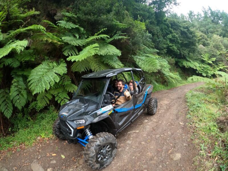 Madeira Private Buggy Adventure: Mountains and Forests - Who Will Love This Tour?