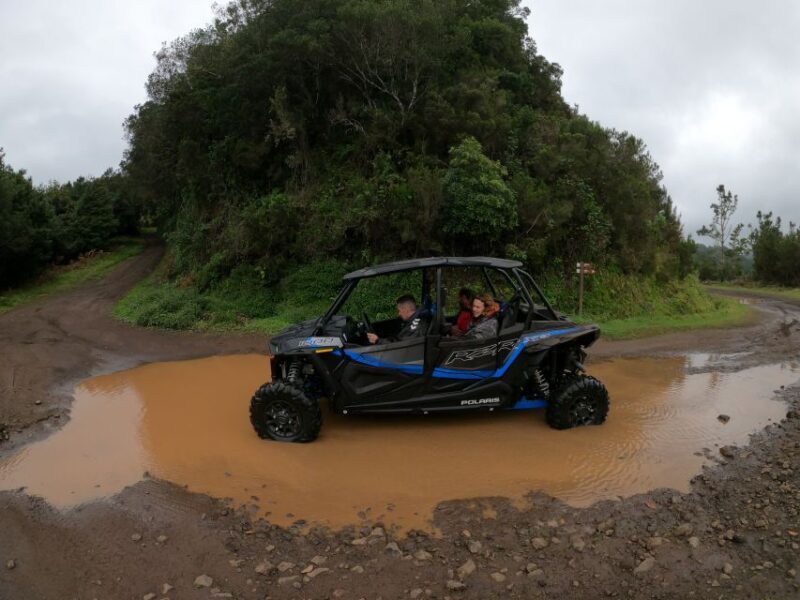 Madeira Private Buggy Adventure: Mountains and Forests - FAQs
