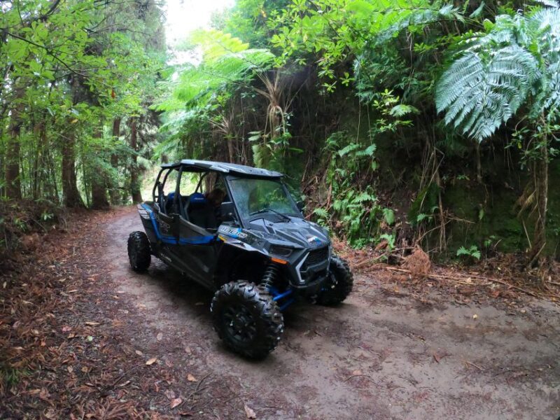 Madeira Private Buggy Adventure: Mountains and Forests - The Sum Up
