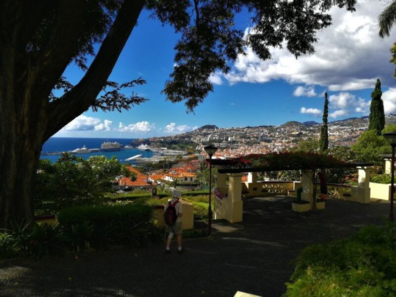 Madeira: Private Funchal City Tour in a Tukxi - Key Points
