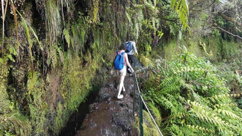 Madeira: Private Guided Levada Caldeirão Verde Walk PR9 - Key Points