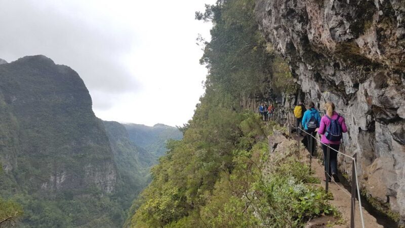 Madeira: Private Guided Levada Caldeirão Verde Walk PR9 - An Overview of the Experience