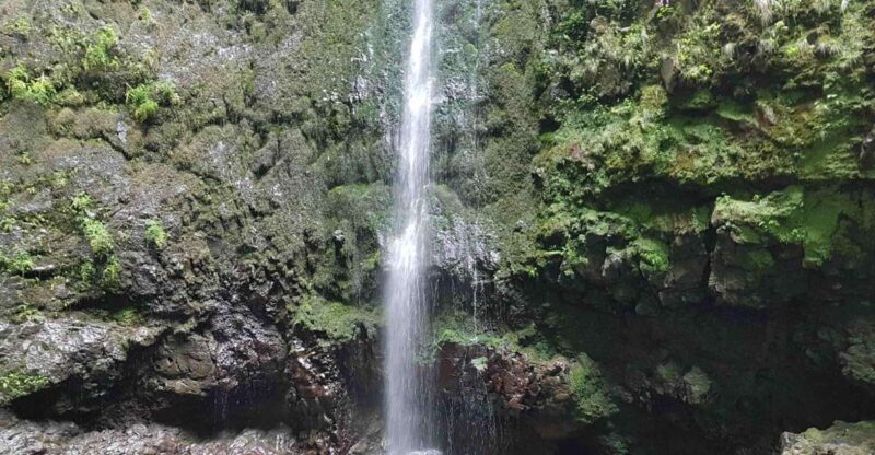 Madeira: Private Guided Levada Caldeirão Verde Walk PR9 - What Reviewers Say