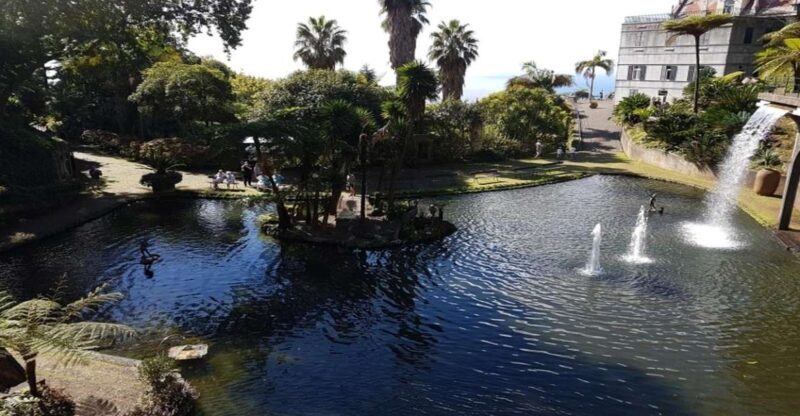 Madeira: Private Half-Day Guided Gardens Tour - Exploring Madeira’s Botanical Gems