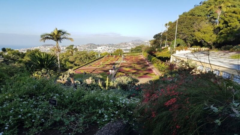 Madeira: Private Half-Day Guided Gardens Tour - Authentic Experiences from Past Travelers