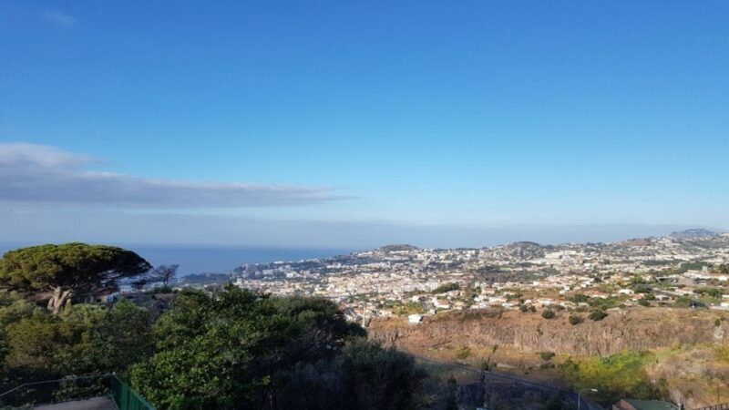 Madeira: Private Half-Day Guided Gardens Tour - Frequently Asked Questions