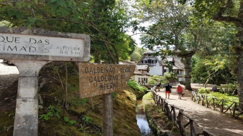 Madeira: Private Half-Day North East Island Tour - Why the Tour Offers Good Value