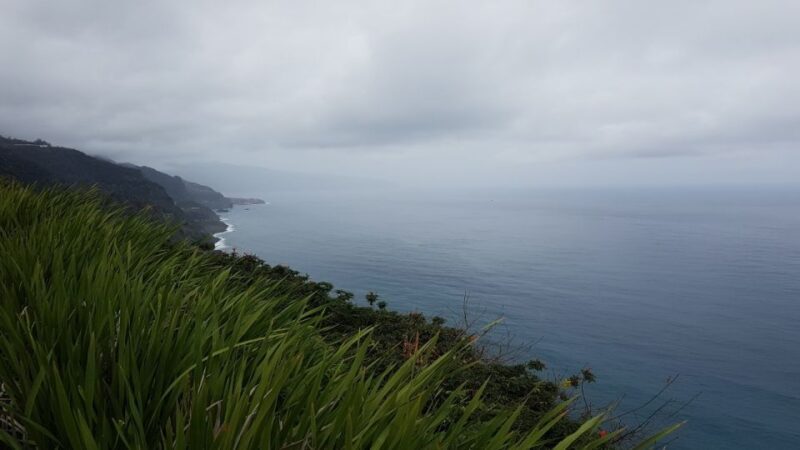 Madeira: Private Half-Day North East Island Tour - The Authentic Madeira Experience