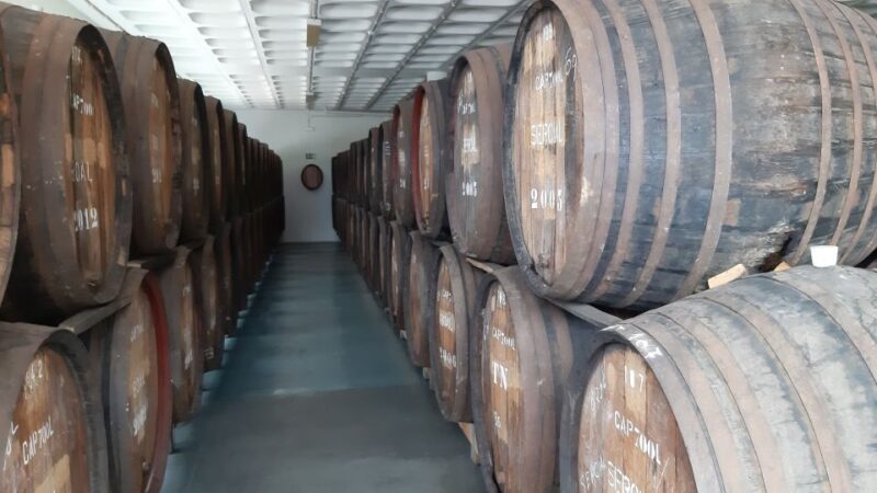 Madeira: Private Half-Day Wine Tasting Tour - What to Expect from the Tour