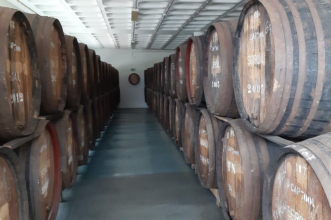 Madeira: Private Half-Day Wine Tasting Tour - Is It Worth the Price?