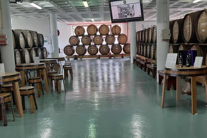 Madeira: Private Half-Day Wine Tasting Tour - Who Will Love This Tour?