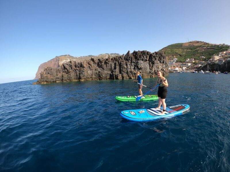Madeira: Private Paddleboard & Snorkel - The Experience in Detail: What to Expect