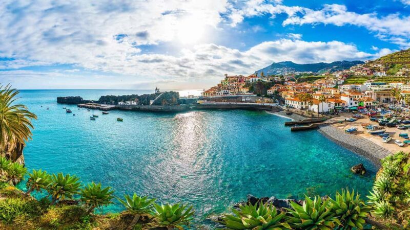 Madeira: Private Tour for Cruise Ship Passengers - Frequently Asked Questions (FAQs)  