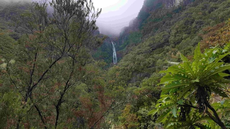 Madeira: Private Walking Tour of Levada das 25 Fontes PR6 - The Itinerary: What to Expect on Your Day